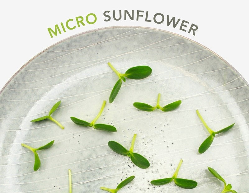Micro Sunflower: Flavor, Nutrition, & Recipes | WeQook
