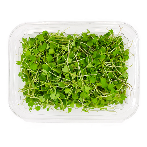 Micro Arugula – Microgreen Arugula with Flavor & Benefits | WeQook