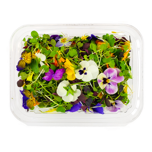 Micro Celebration Mix – Edible Microflowers & Greens | WeQook NY
