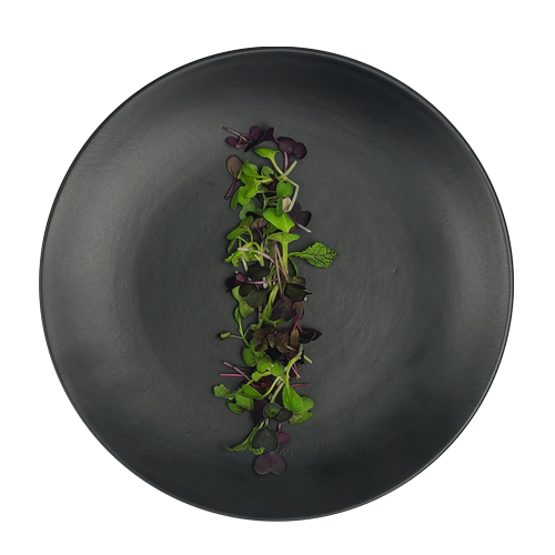 Micro Rainbow Mix - Buy Microgreens Online | WeQook