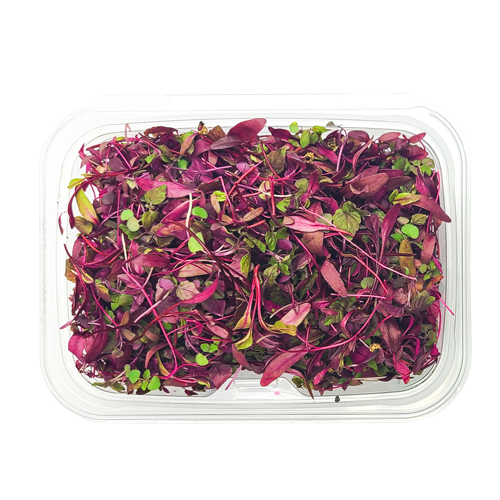 Micro Ruby Mix – Bold Red Microgreens Blend | WeQook NY