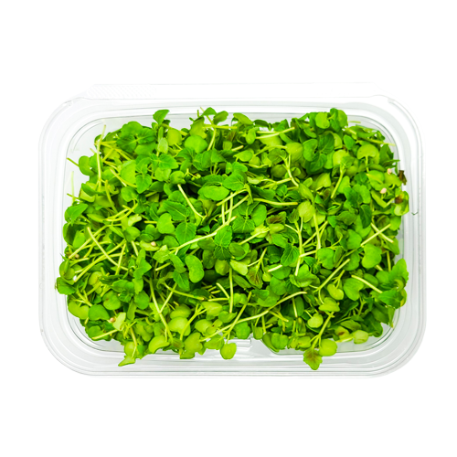 Micro Shiso Green - Buy Microgreens Online | WeQook